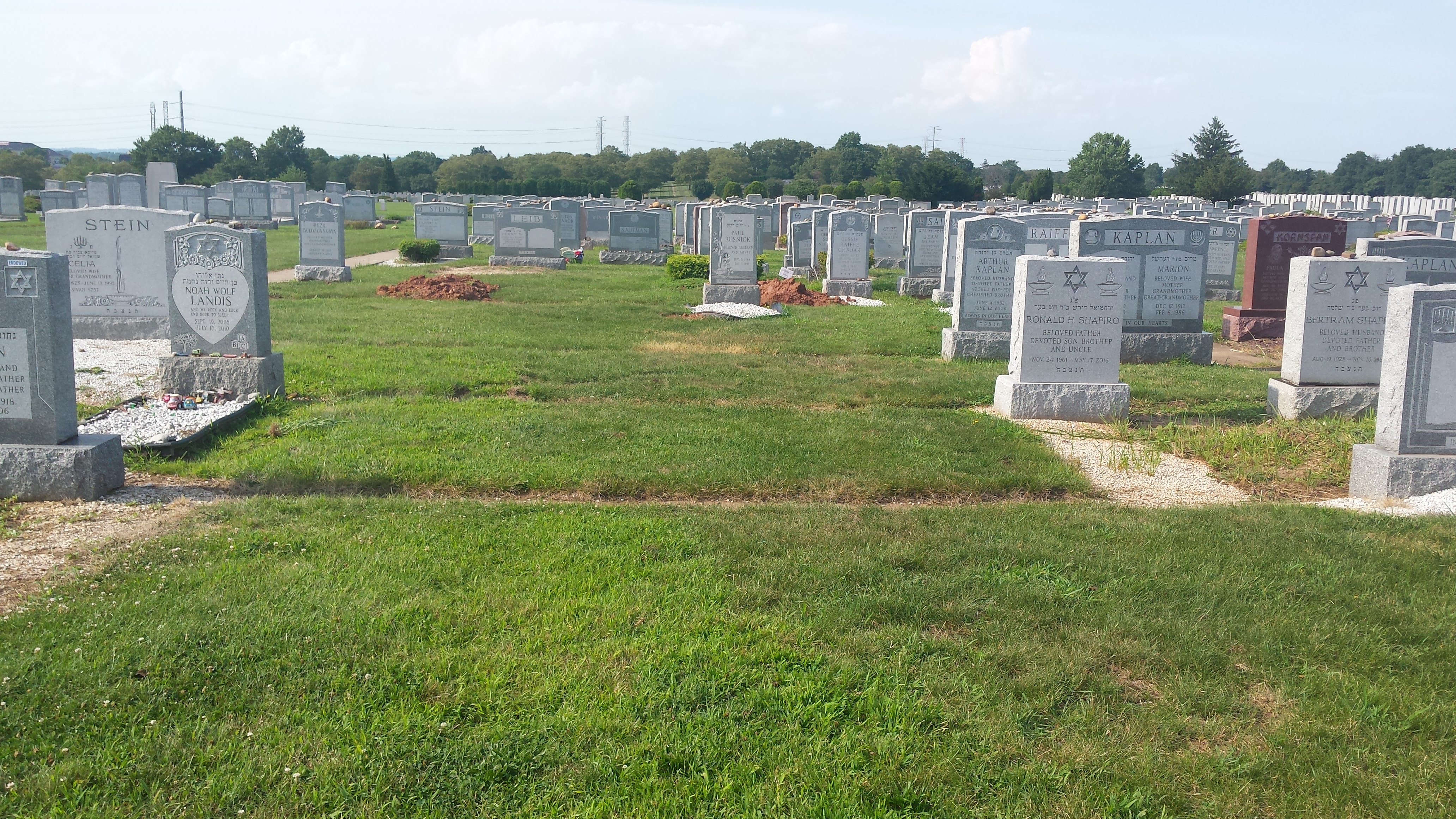 What to Wear When Visiting the Cemetery After Eating All the Ice Cream ...